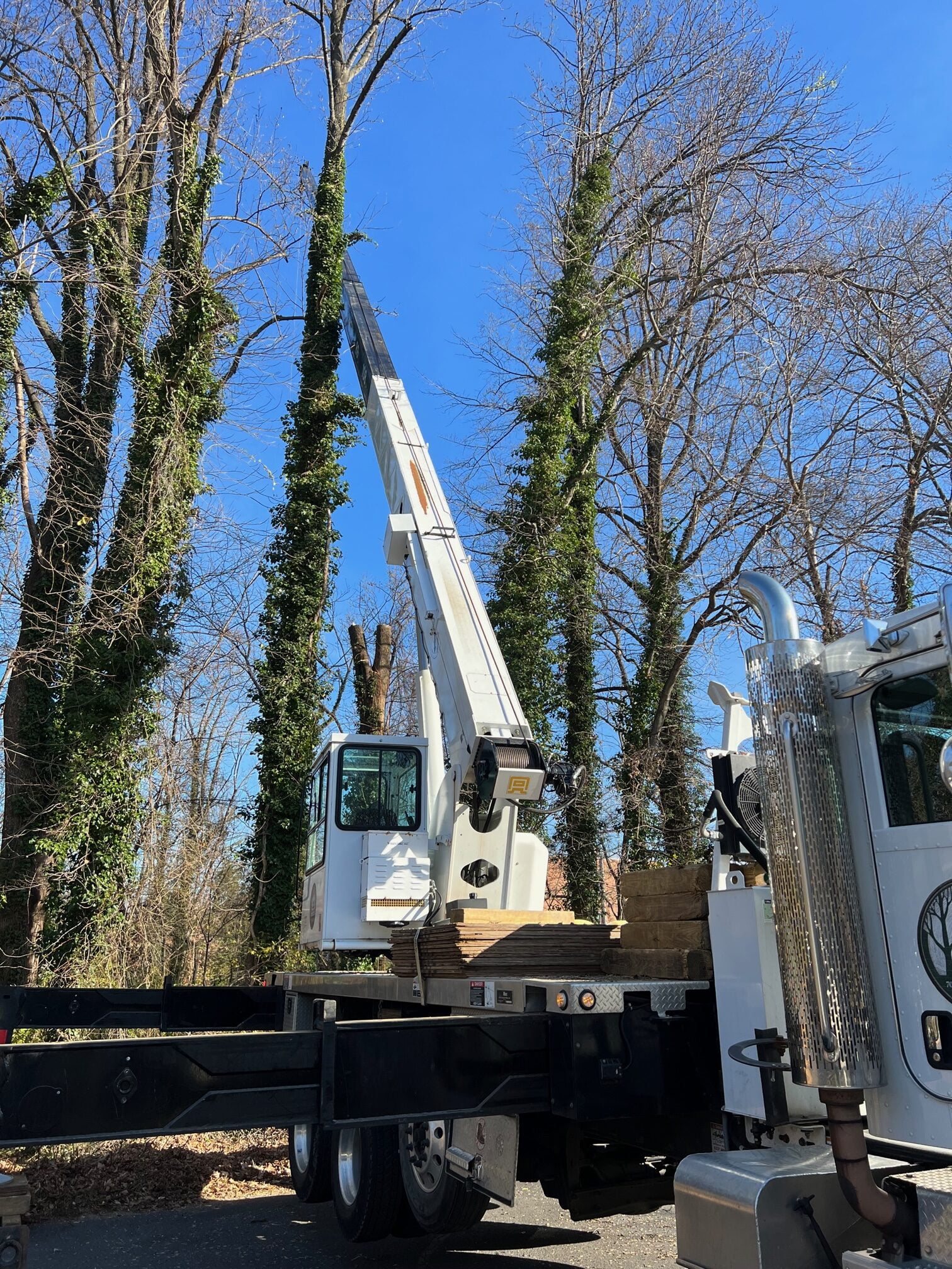 JL Tree Service - Tree Removal Service