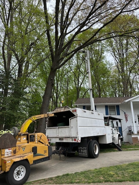 JL Tree Service - Tree Trimming - Tree Maintenance