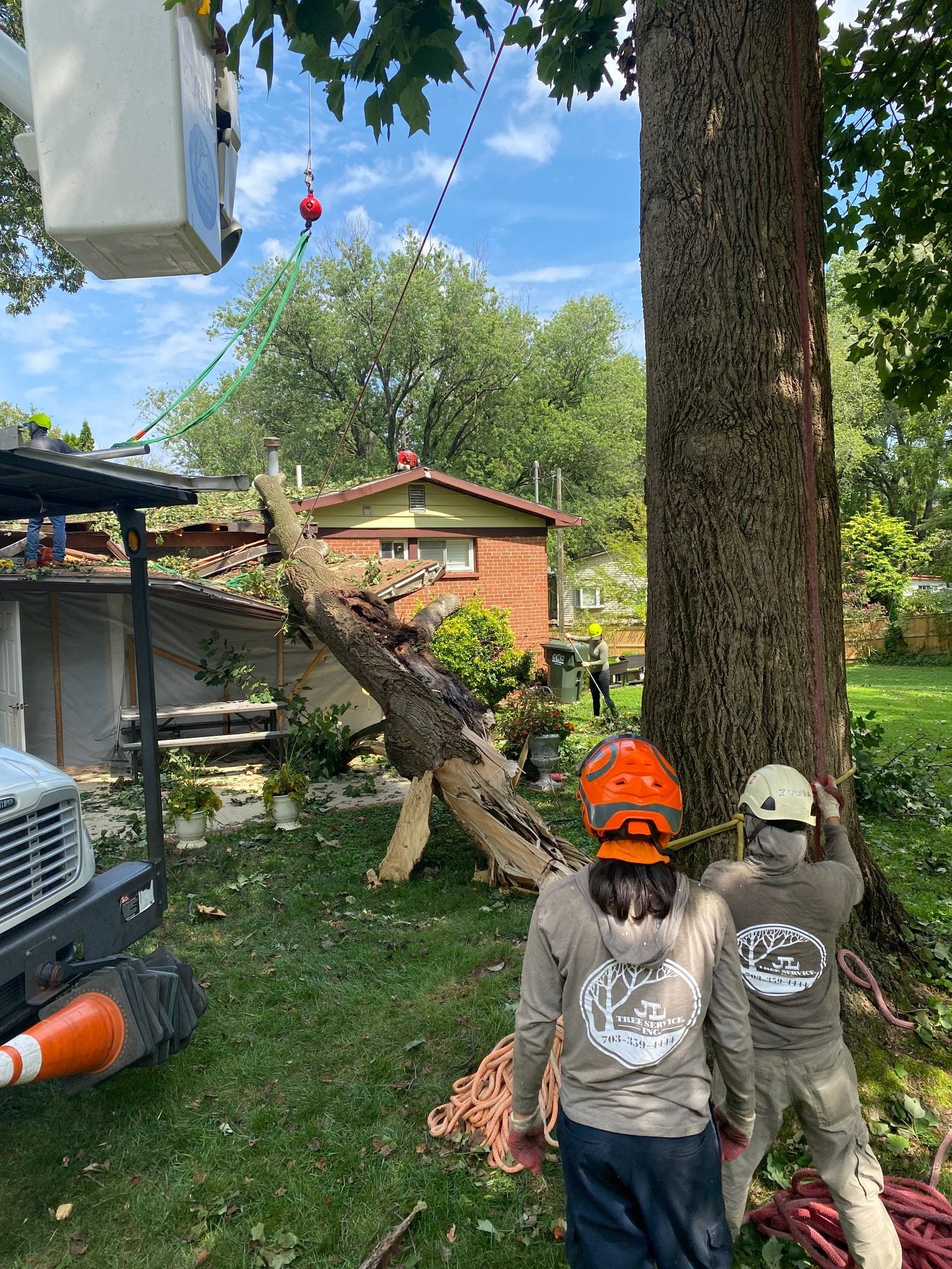 JL Tree Service - Emergency Tree Service & Removal