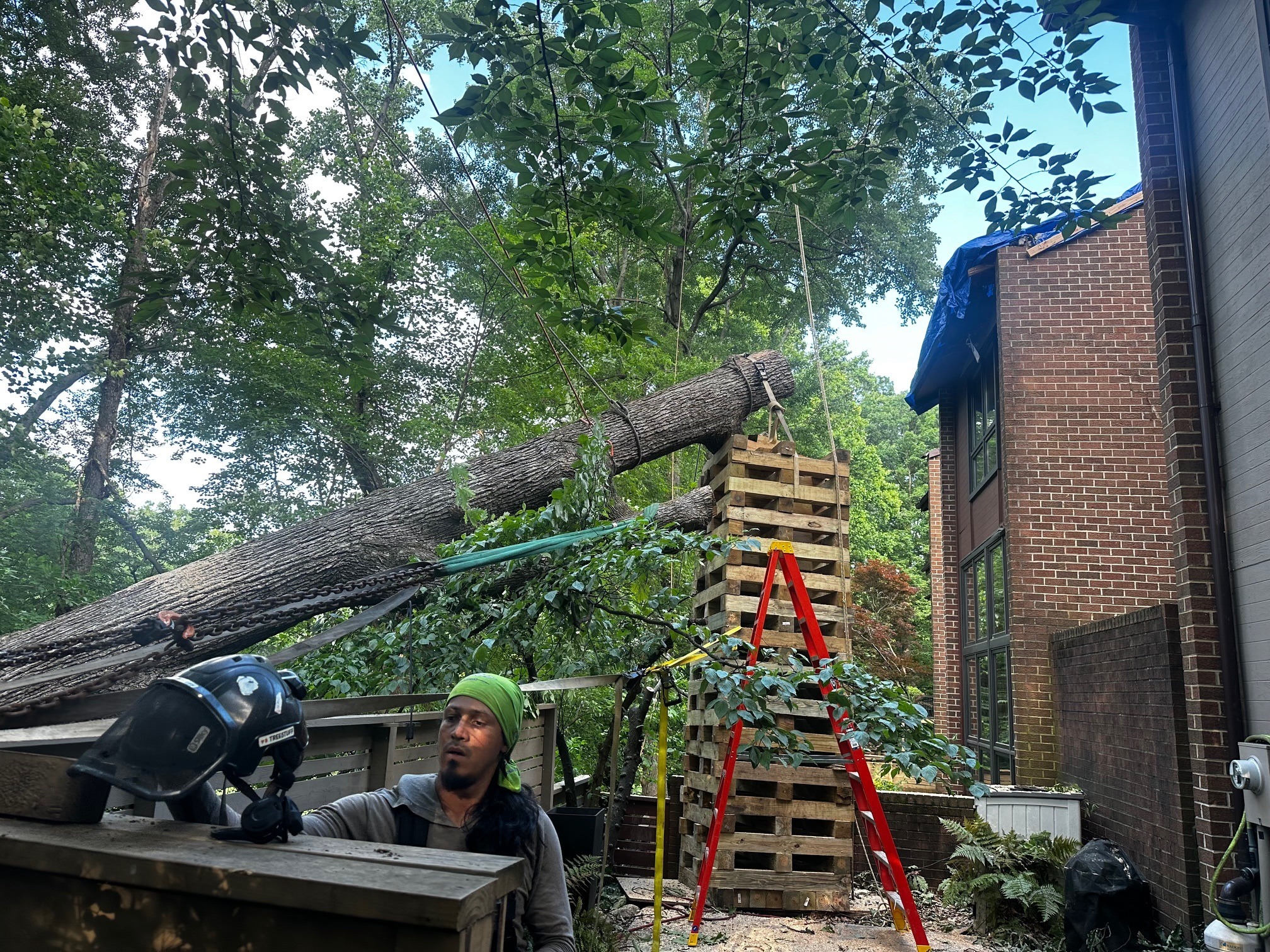 24 Hour Emergency Tree Service Reston VA Tree on a House!