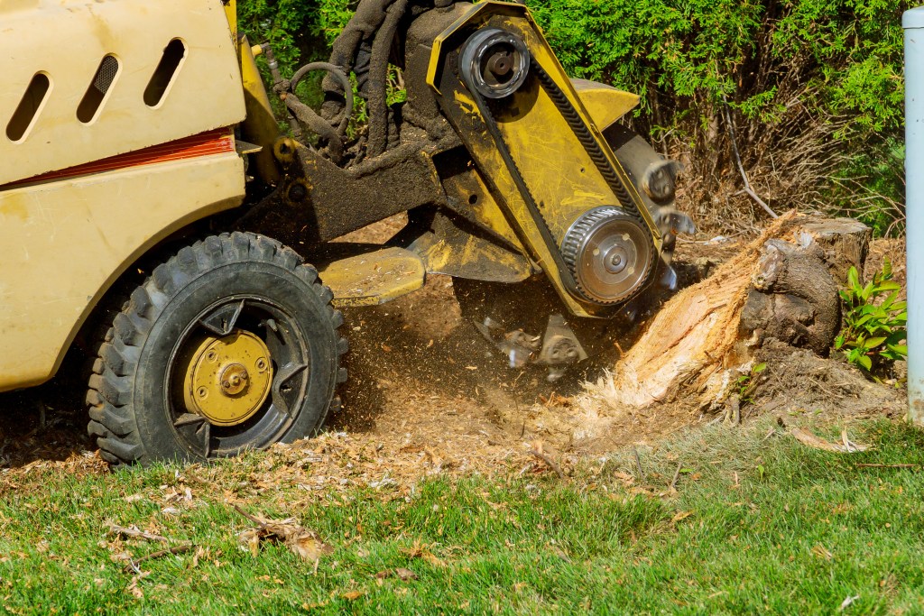 JL Tree Service - Stump Grinding - Why Winter Is the Best Season for ...